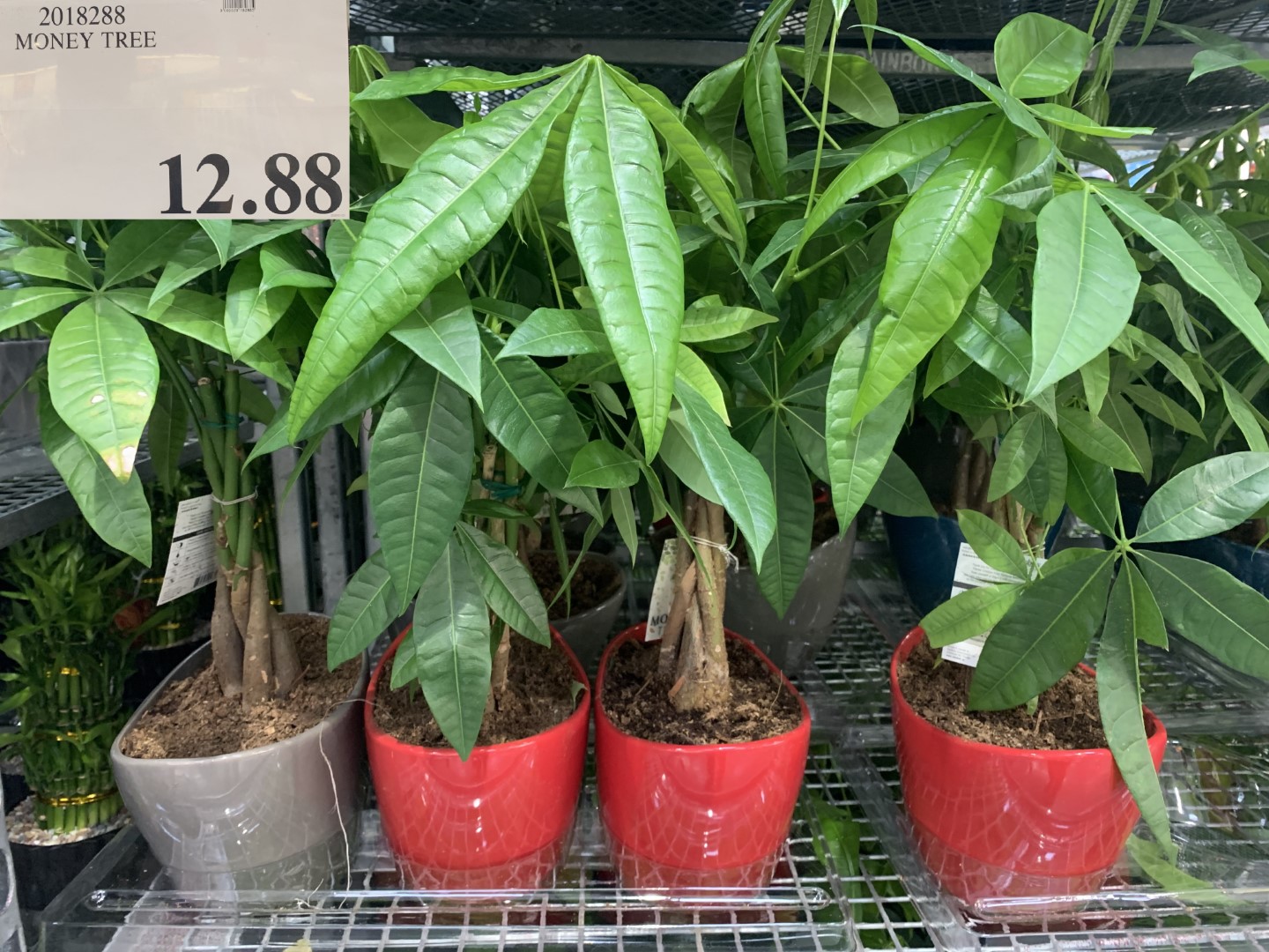 Weekend Update – Costco Sale Items for Jan 4-5, 2020 for BC, AB, MB, SK ...