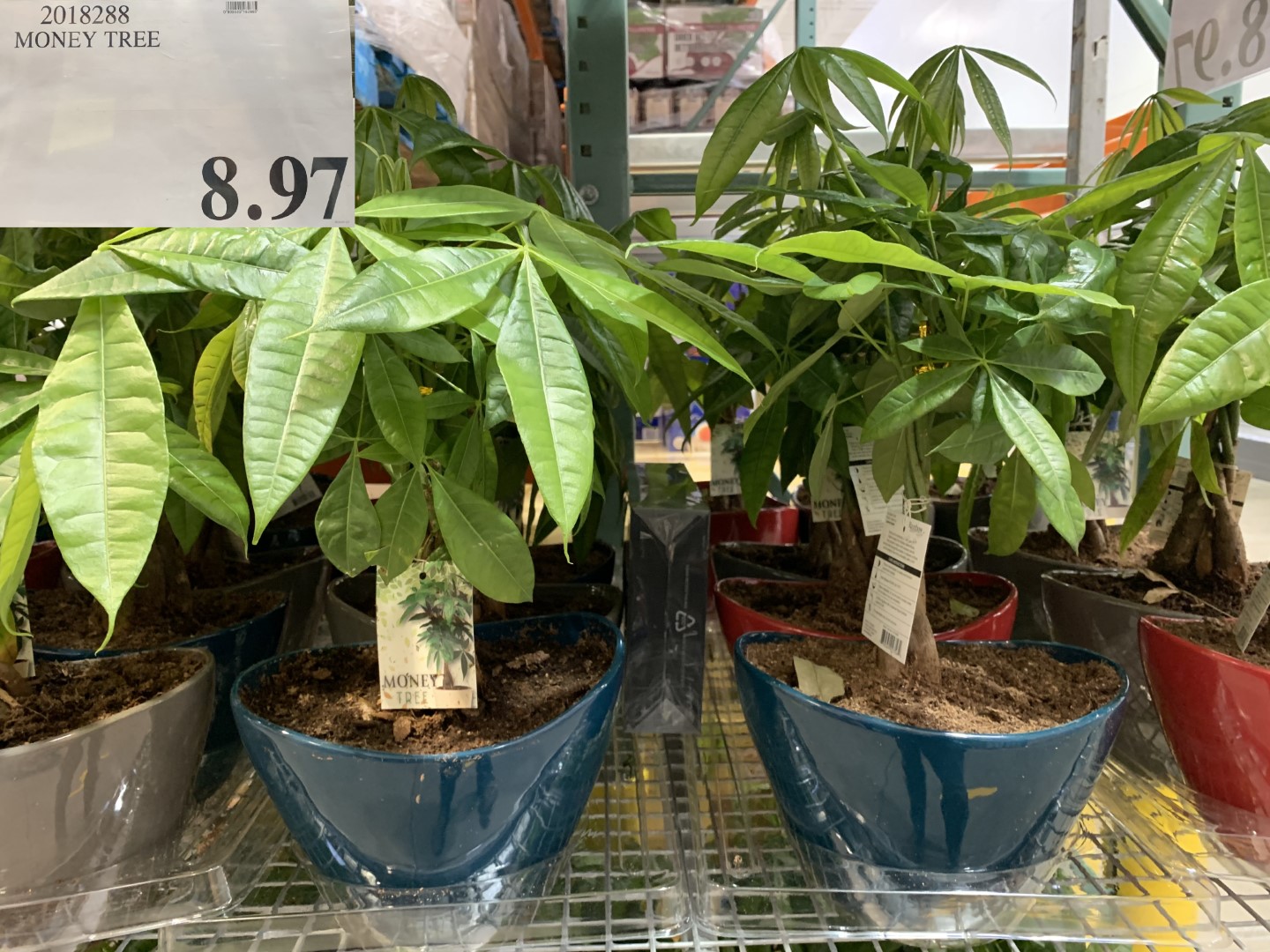 Costco Flyer & Costco Sale Items for Jan 27 - Feb 2 2020, for BC, AB ...