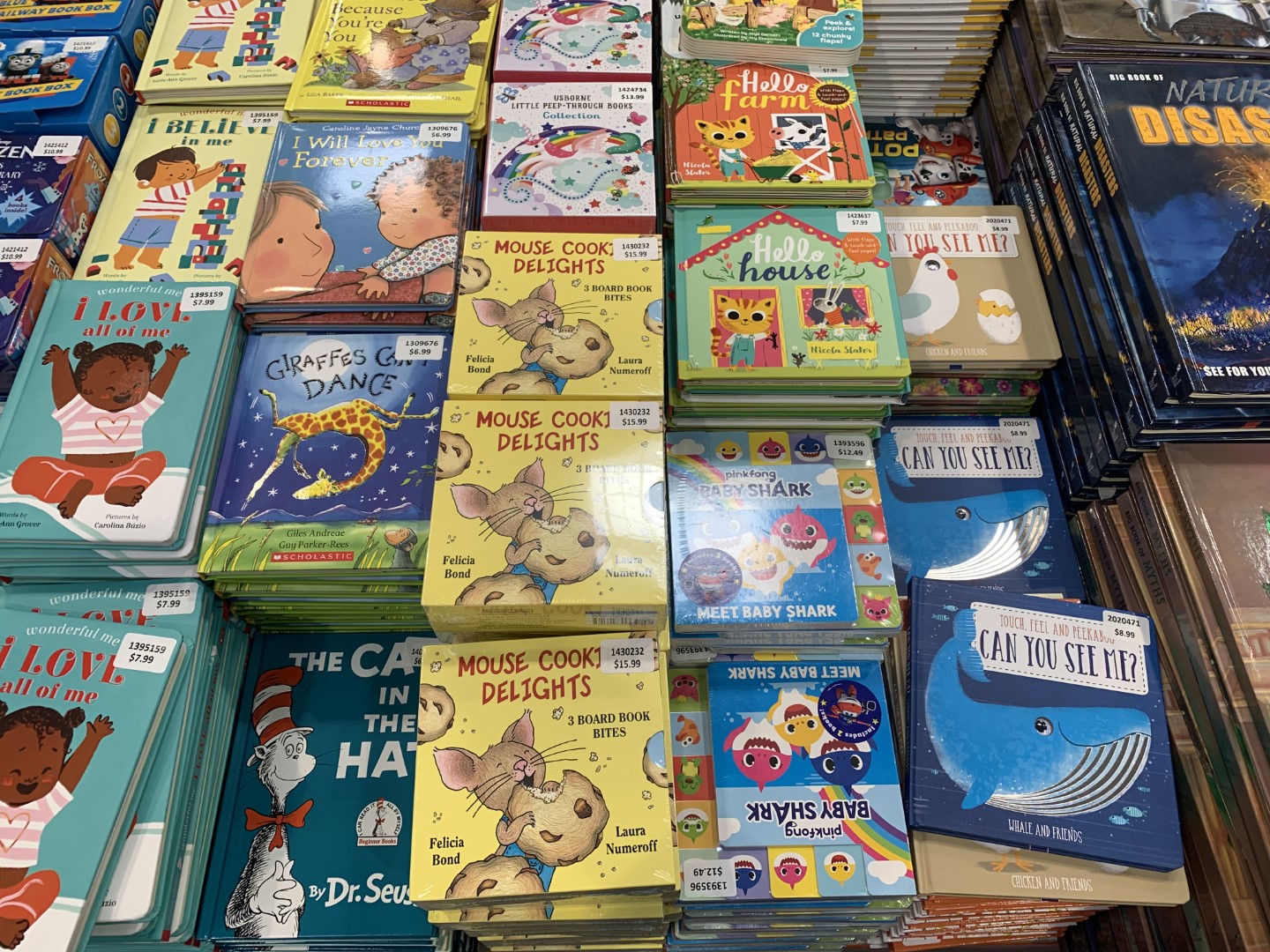Costco Winter Aisle 2020 Superpost! Books & DVDs - Costco West Fan Blog