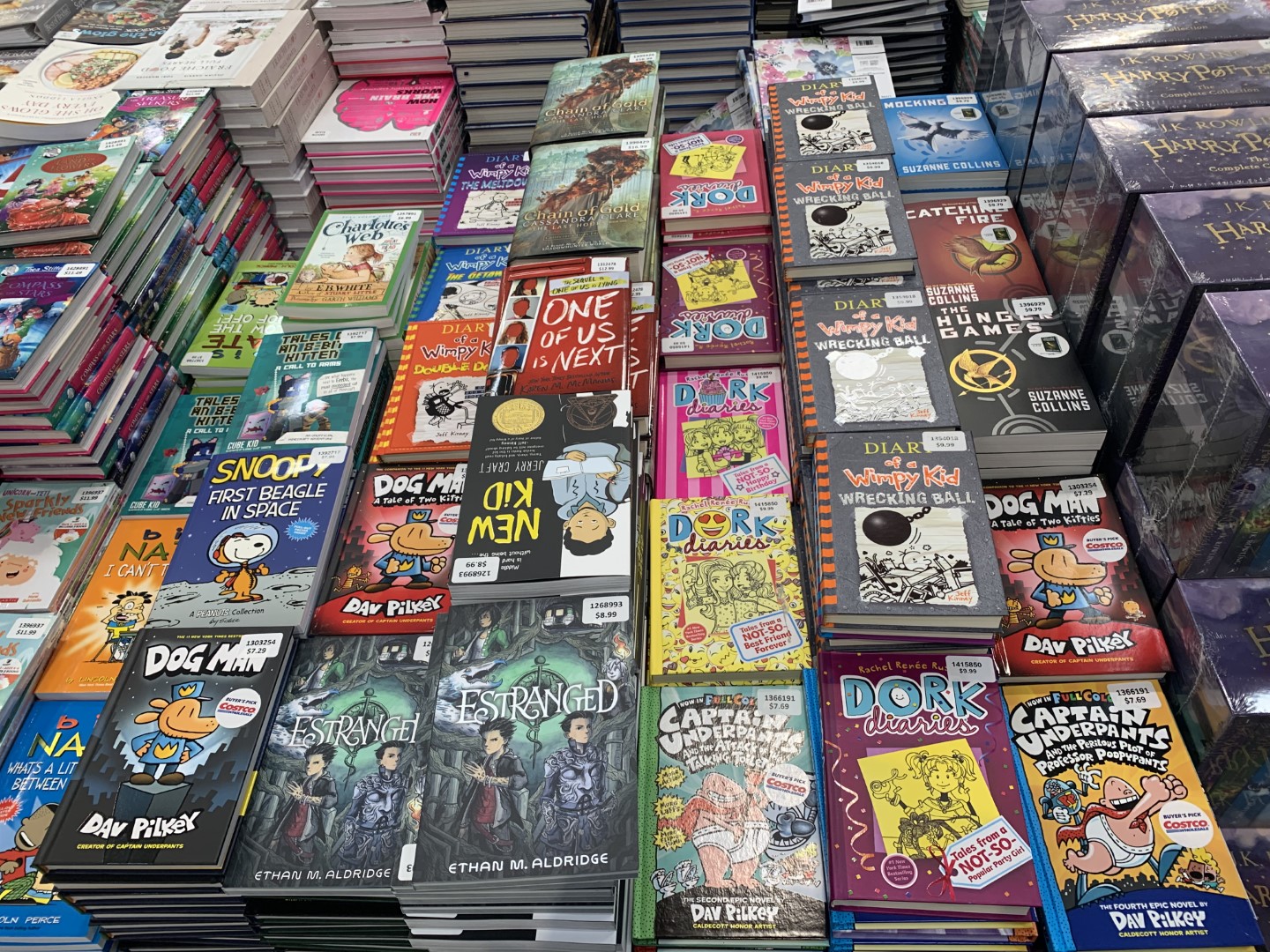 Costco Winter Aisle 2020 Superpost! Books & DVDs - Costco West Fan Blog