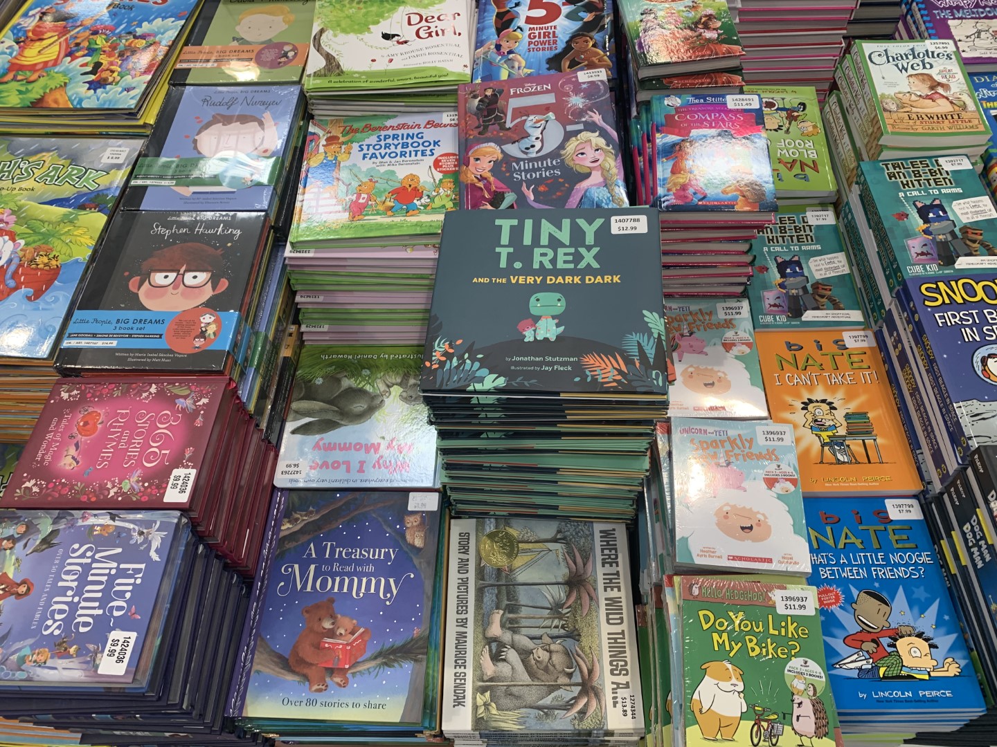 Costco Winter Aisle 2020 Superpost! Books & DVDs - Costco West Fan Blog