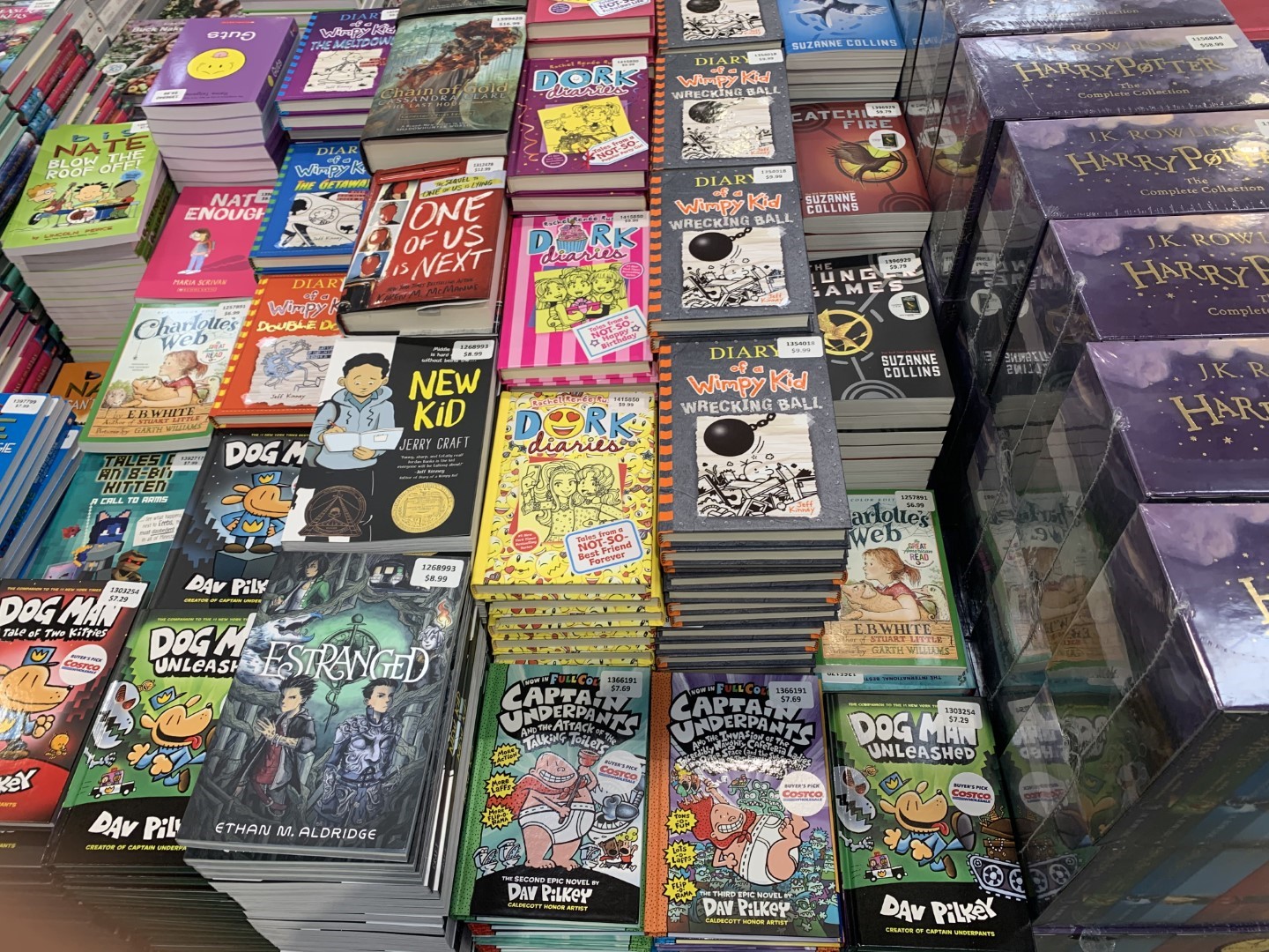 Costco Spring Aisle 2020 Superpost! Books & DVDs - Costco West Fan Blog