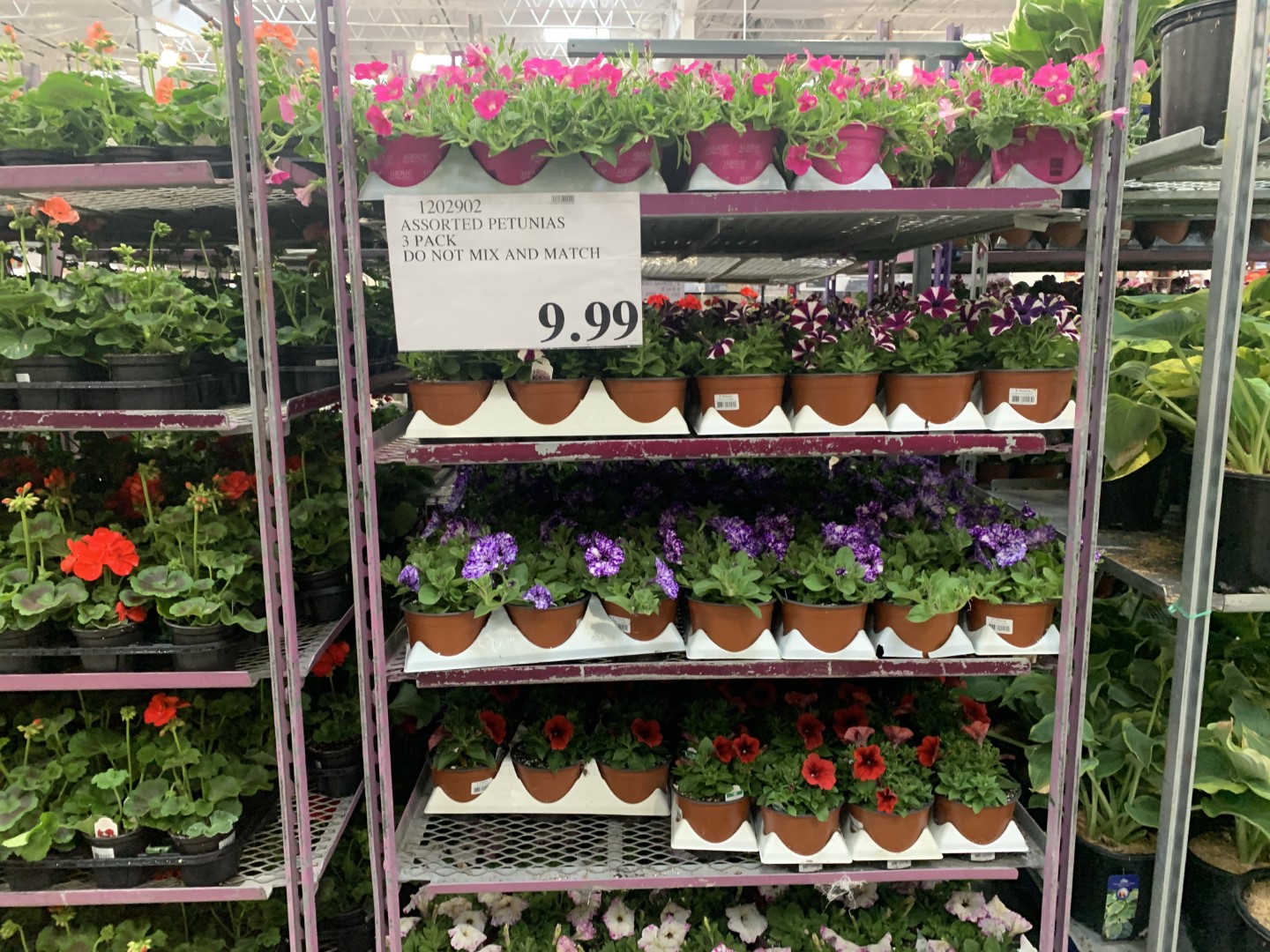 Costco Spring Aisle 2020 Superpost! Home, Garden & Plants - Costco West ...