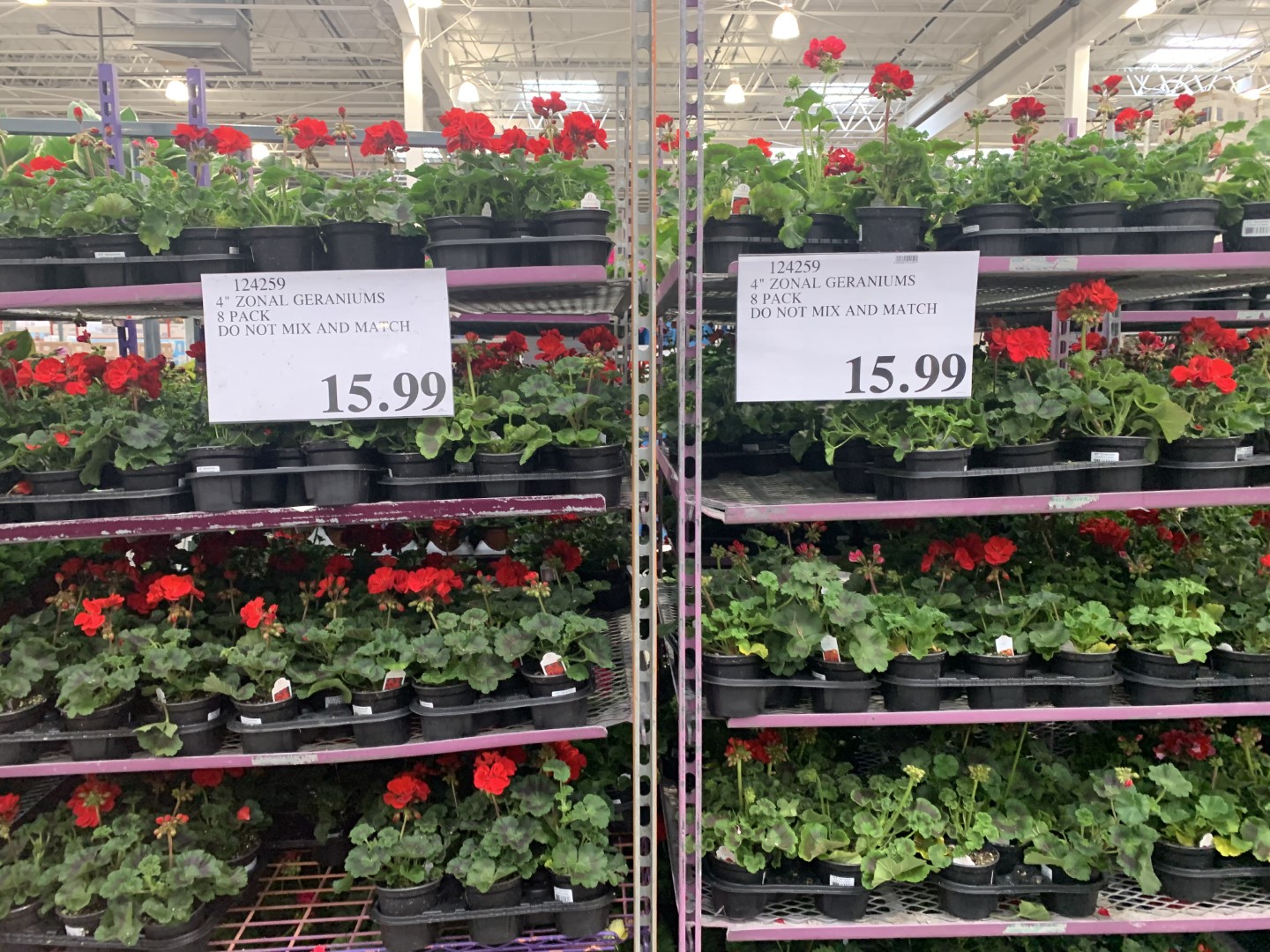 Costco Spring Aisle 2020 Superpost! Home, Garden & Plants - Costco West ...