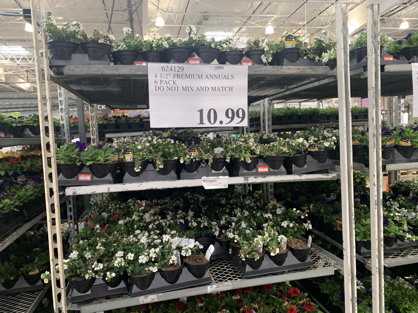 Costco Spring Aisle 2020 Superpost! Home, Garden & Plants - Costco West ...