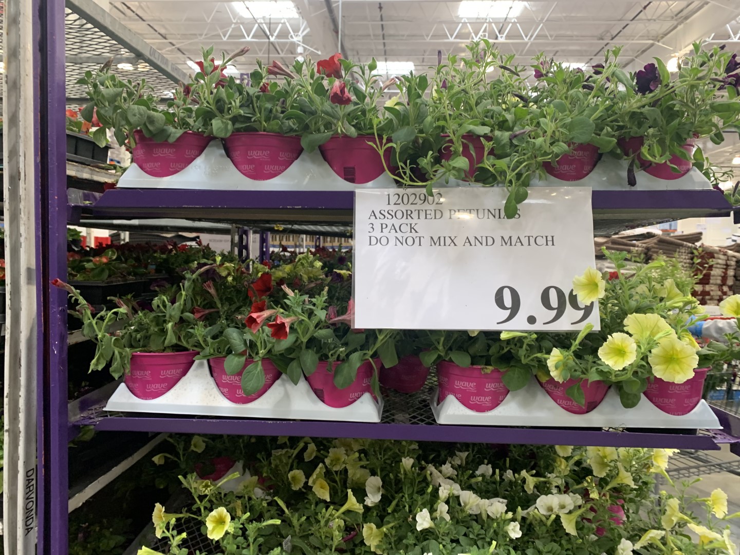 Costco Spring Aisle 2020 Superpost! Home, Garden & Plants - Costco West ...