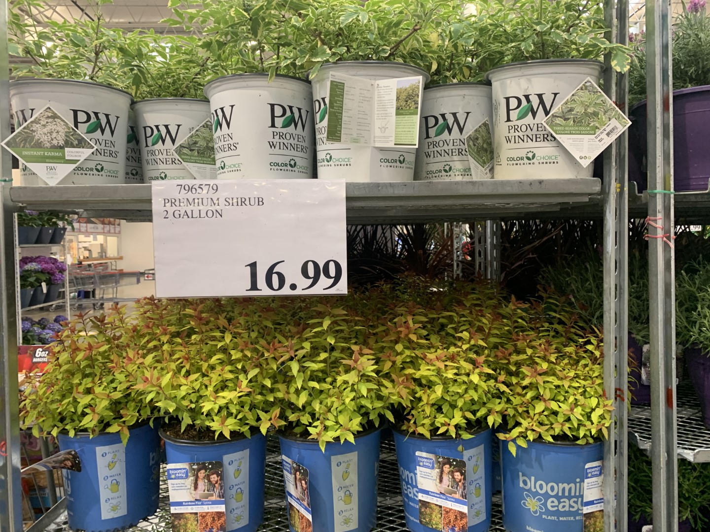 Costco Spring Aisle 2020 Superpost! Home, Garden & Plants - Costco West ...