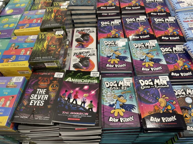 Costco Fall Aisle 2020 Superpost! The Entire Book & DVD Section ...