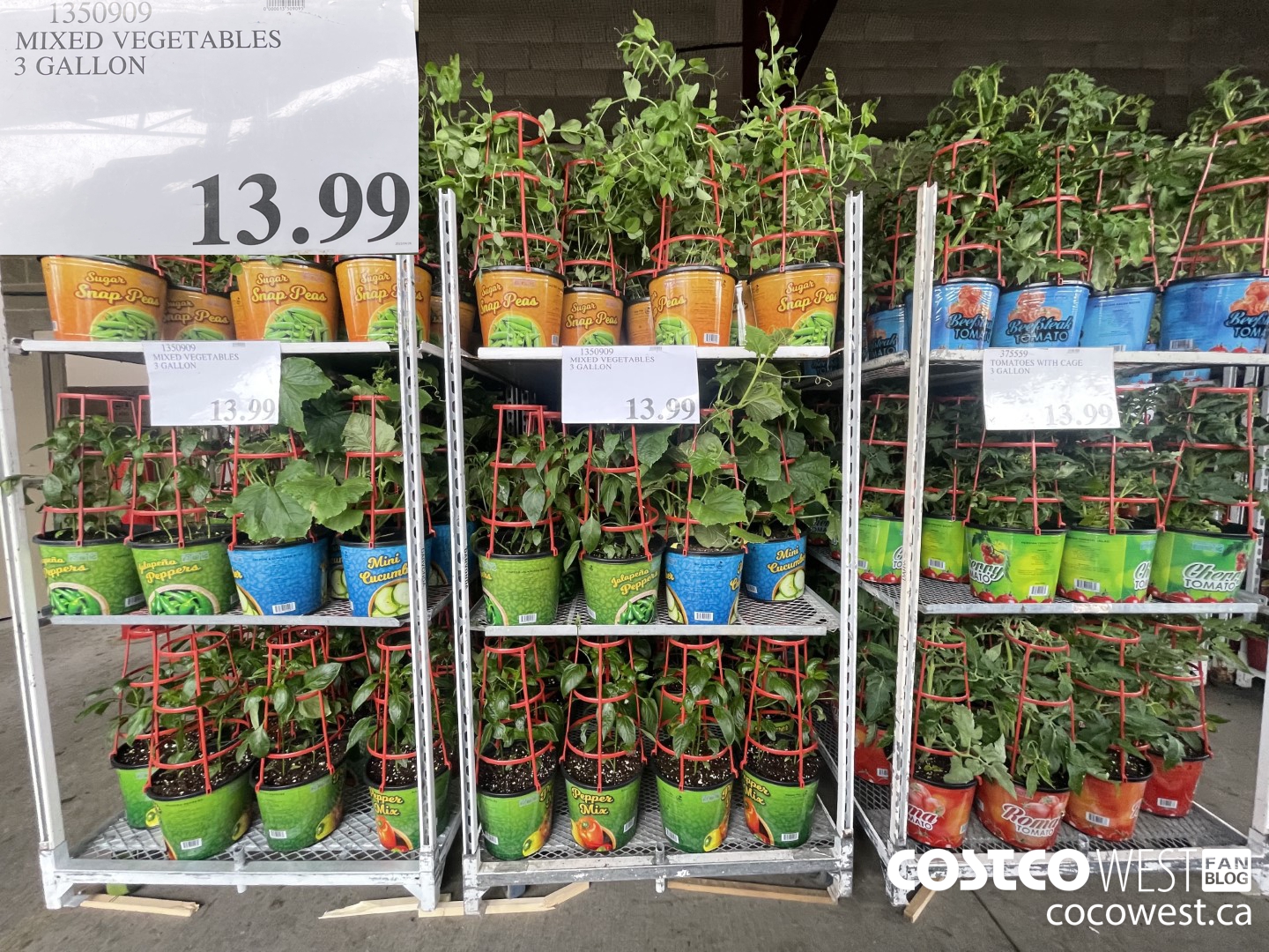 Costco 2022 Spring Superpost: The Entire Garden Centre! - Costco West ...